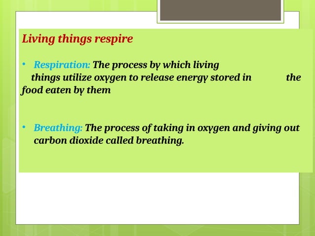 CHAPTER 7 THINGS AROUND US Class 6.pptx | Biological Sciences | Science