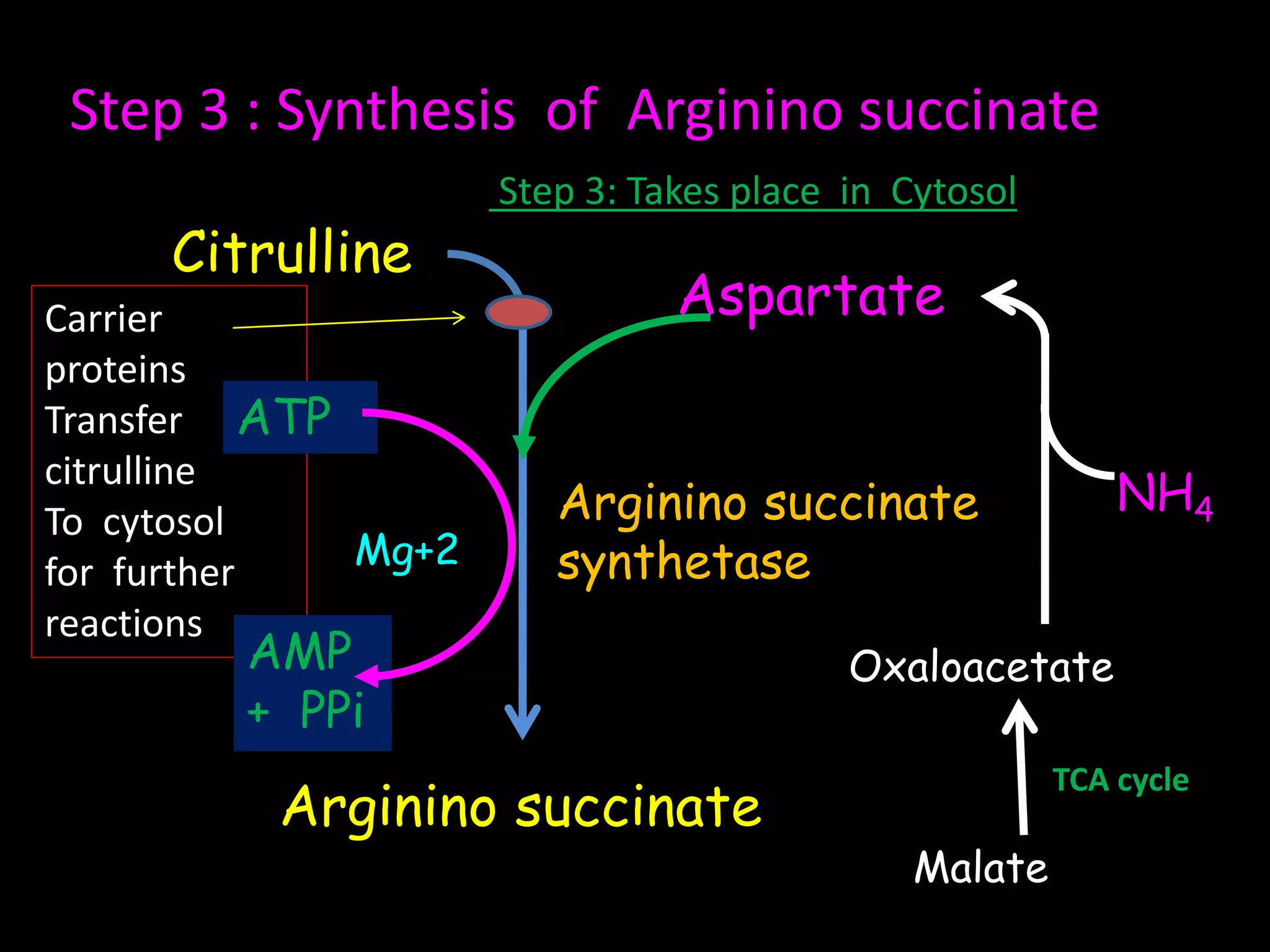 Urea synthesis | PPTX