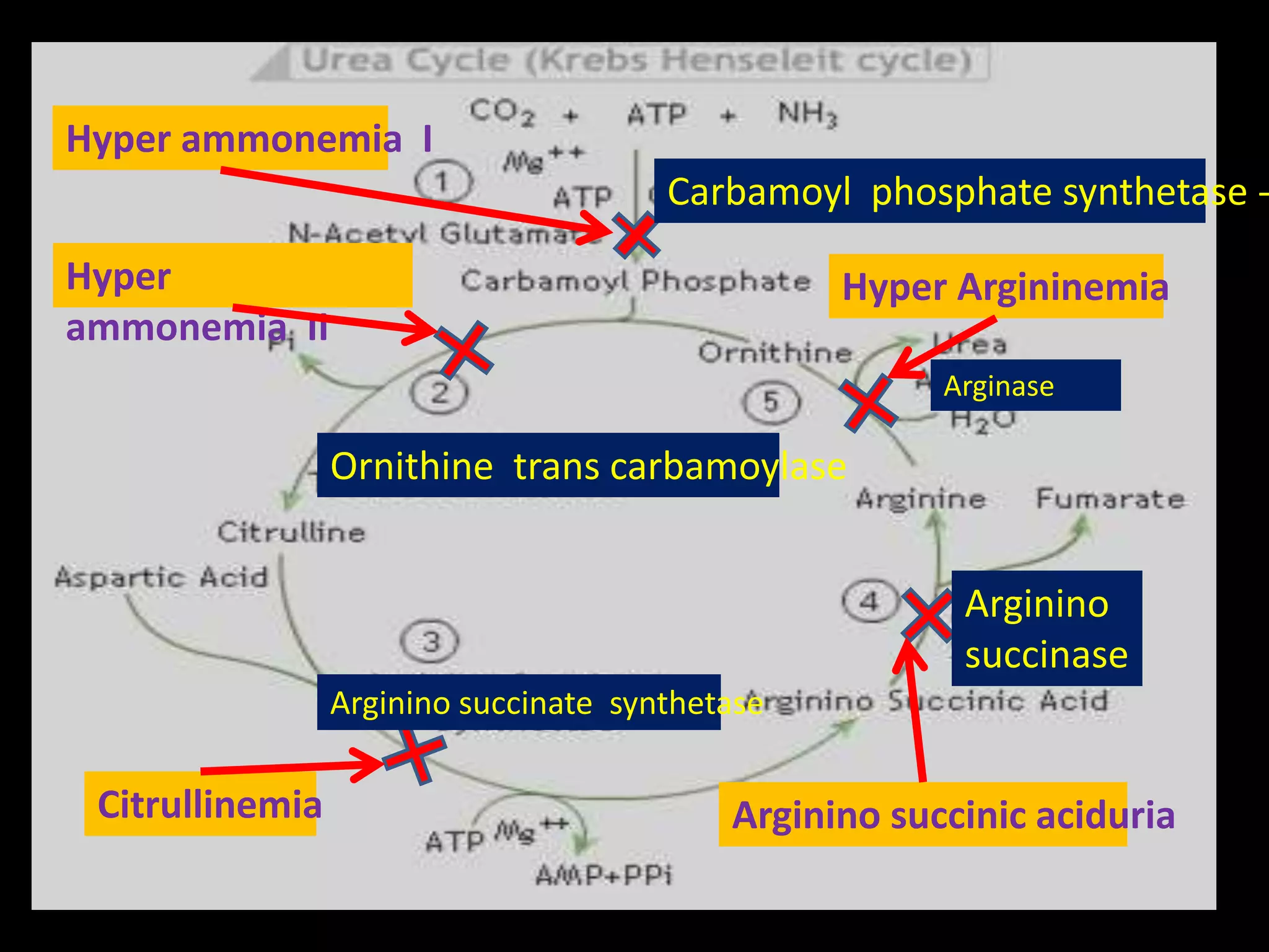 Urea synthesis | PPTX