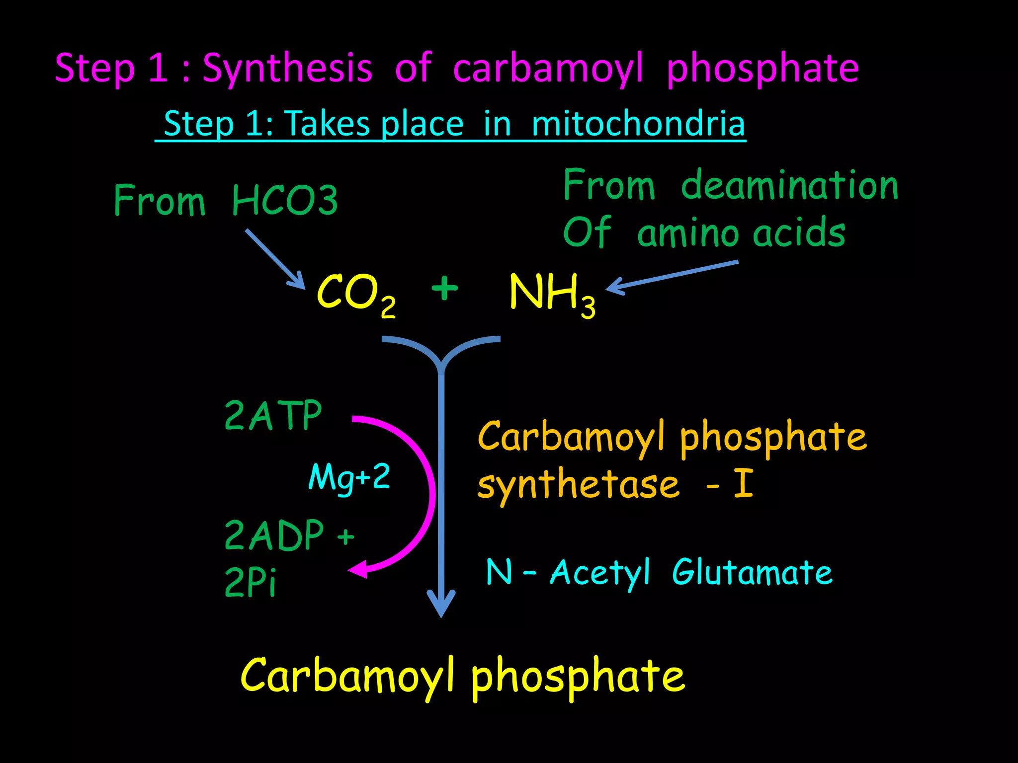Urea synthesis | PPTX