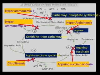 Urea synthesis | PPTX