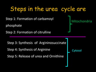 Urea synthesis | PPTX