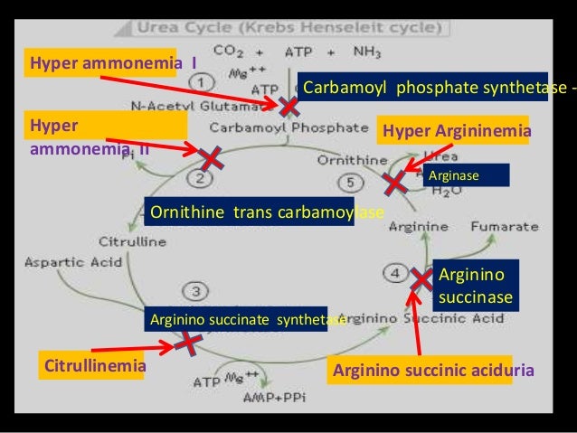 Urea synthesis