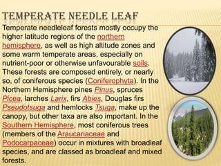 Class 7 science project | PPTX