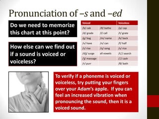 Class 7 slides | PPTX