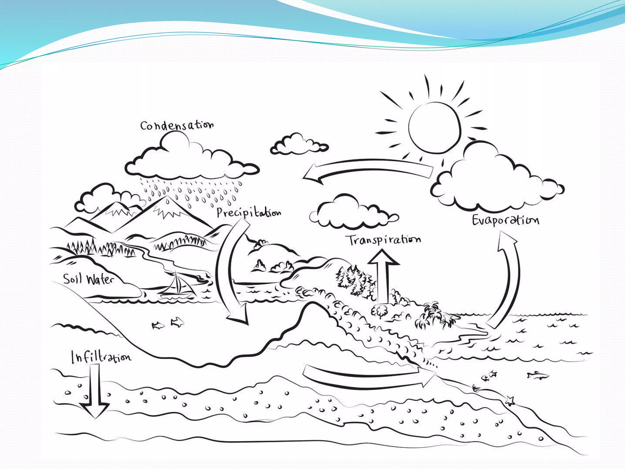 Class 7 ch 5 water-pdf | PDF