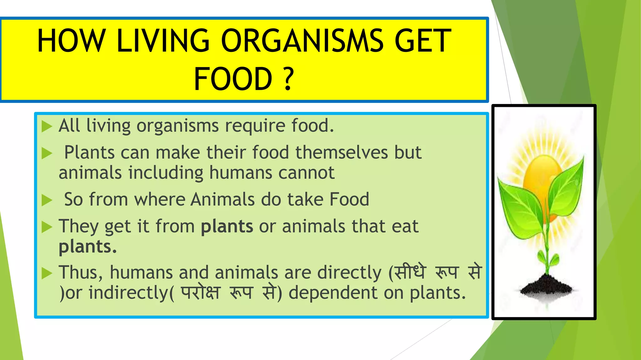 NUTRITION IN PLANTS CLASS 7 | PPTX