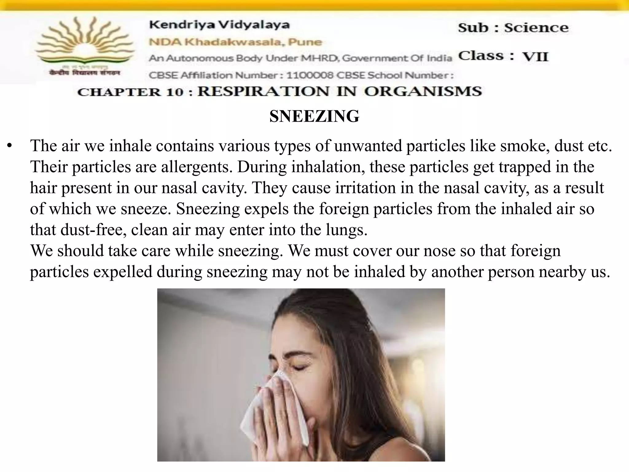 Class 7 chapter 10 ppt 2 | PPTX | Lung and Respiratory Health ...