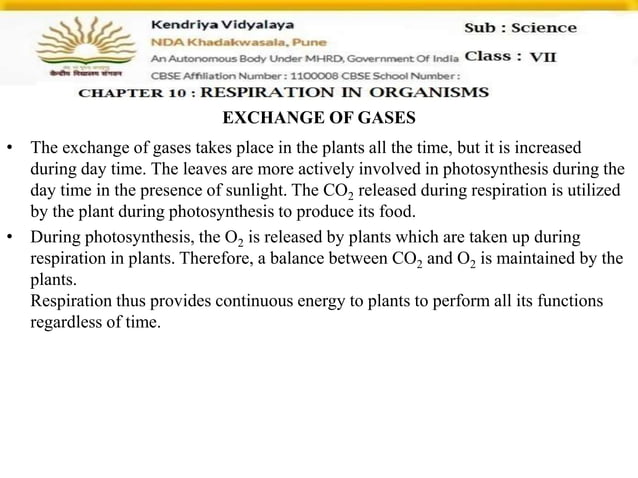 Class 7 chapter 10 ppt 2 | PPT