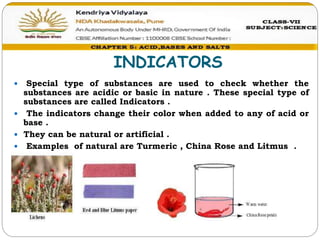 Class 7 chapter 5 Acids ,bases and salts ppt 1 | PPTX