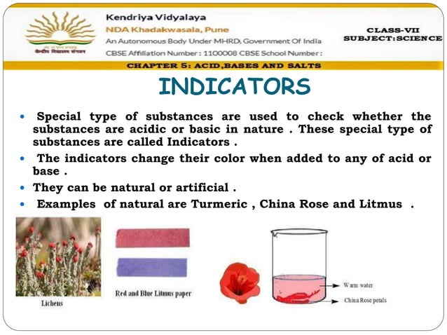 Class 7 chapter 5 Acids ,bases and salts ppt 1 | PPTX