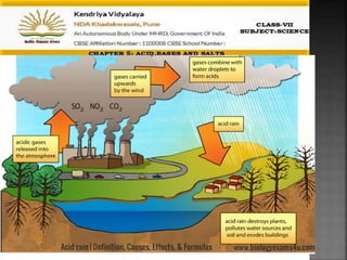 Class 7 chapter 5 Acids ,bases and Salts ppt 2 | PPTX