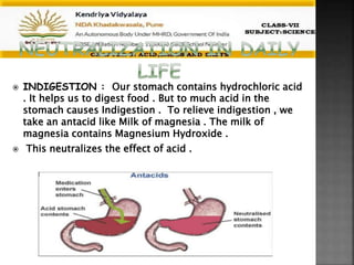 Class 7 chapter 5 Acids ,bases and Salts ppt 2 | PPTX