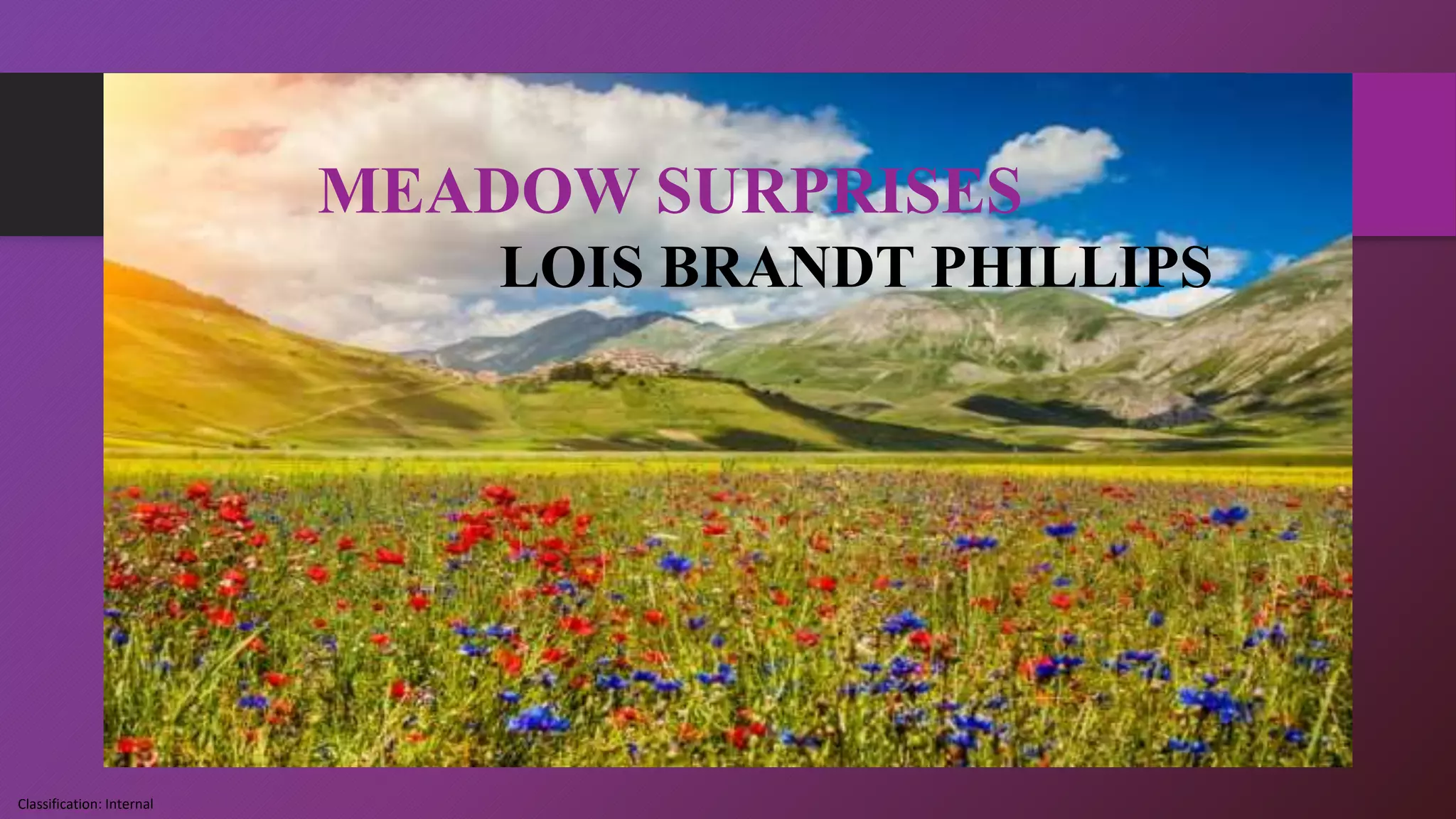 MEADOW SURPRISES | PPTX