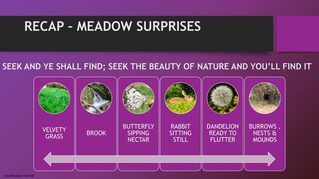 MEADOW SURPRISES | PPTX | Gardening | Home & Garden