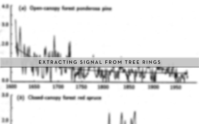 Class 7, Extracting signal from tree rings | PDF