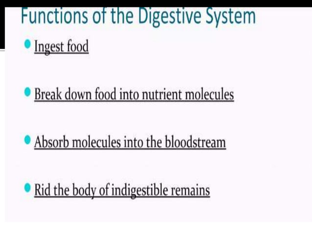 class 7 digestive system ppt.pptx digestion | PPTX