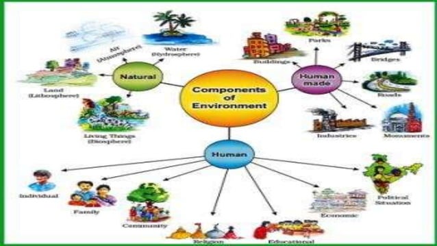 Class 7 environment | PPTX | Environment | Science
