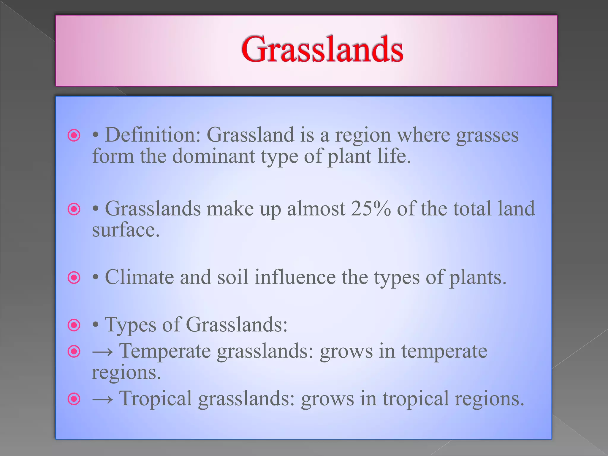 Temperate Grassland | PPTX