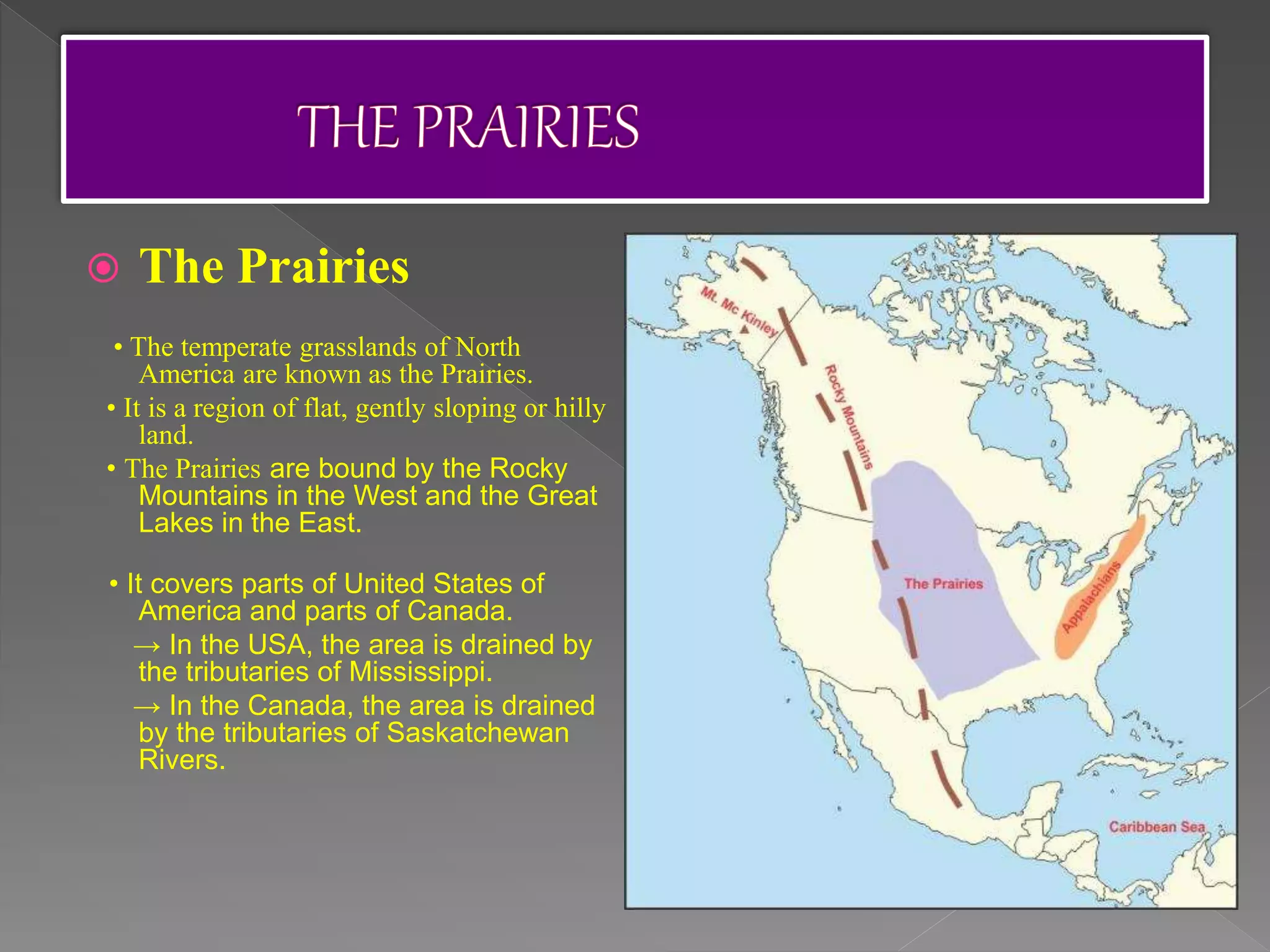 Temperate Grassland Ppt
