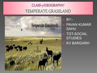 Temperate Grassland