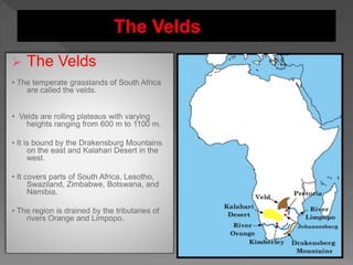 Velds Grasslands Map