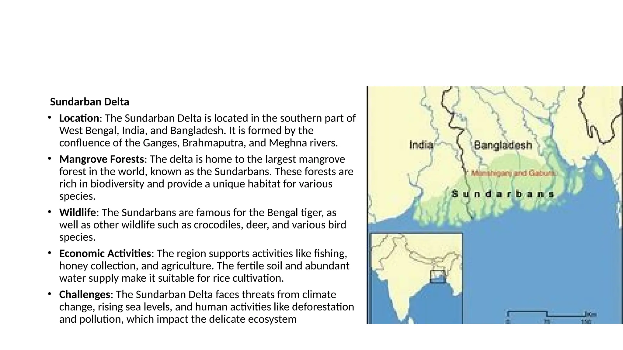 Class 7 HUMAN ENVIRONMENT INTERACTIONS.pptx