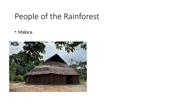 Class 7 HUMAN ENVIRONMENT INTERACTIONS.pptx