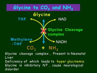 Metabolism of glycine | PPTX