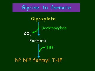 Metabolism of glycine | PPTX
