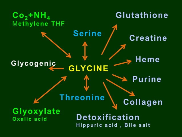 Metabolism of glycine | PPTX | Chemistry | Science