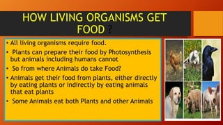 NUTRITION IN ANIMALS | PPTX