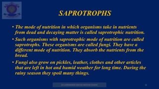class 7 Nutrition in plants.pptx