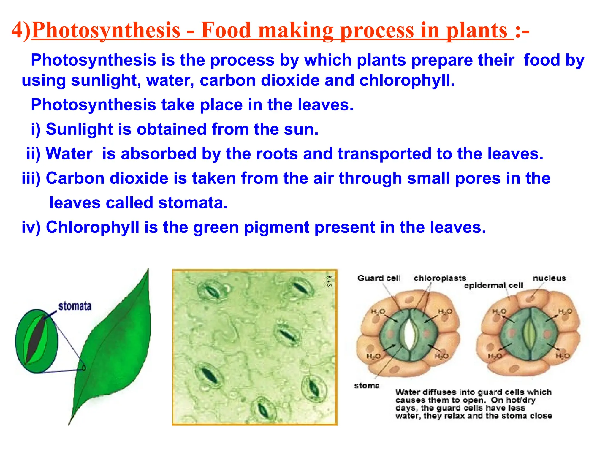 Class 7 nutrition in plants for education.ppt