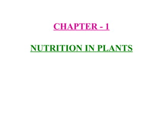 Class 7 nutrition in plants for education.ppt