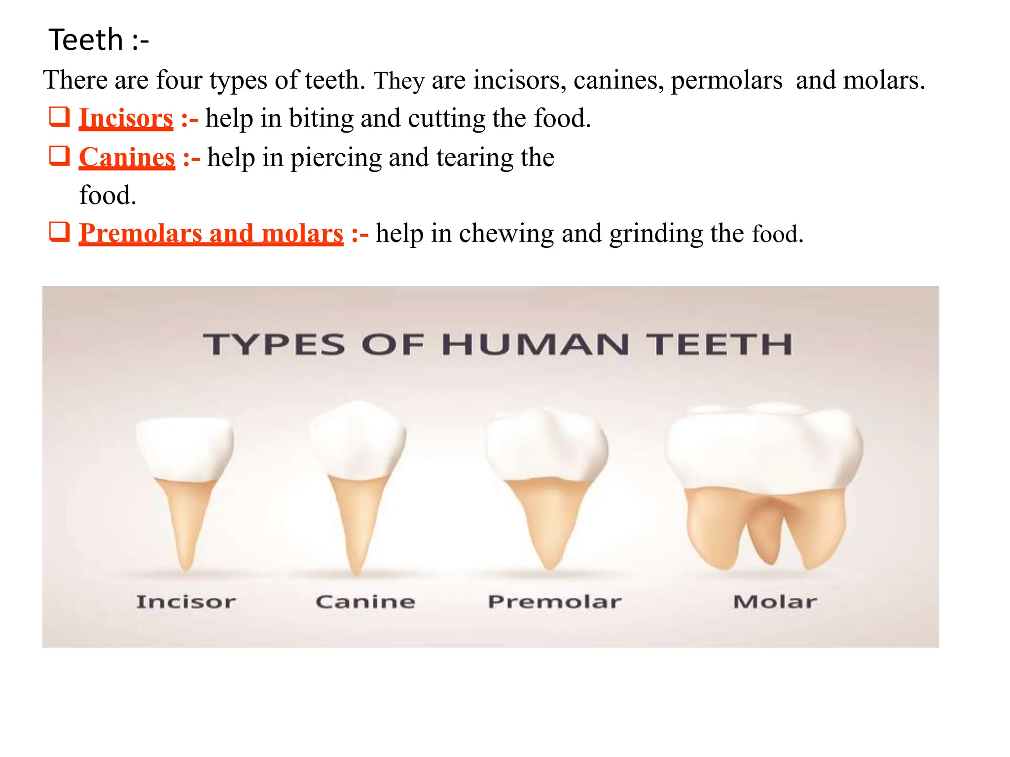 class7sciencechapter2-nutritioninanimals.pptx
