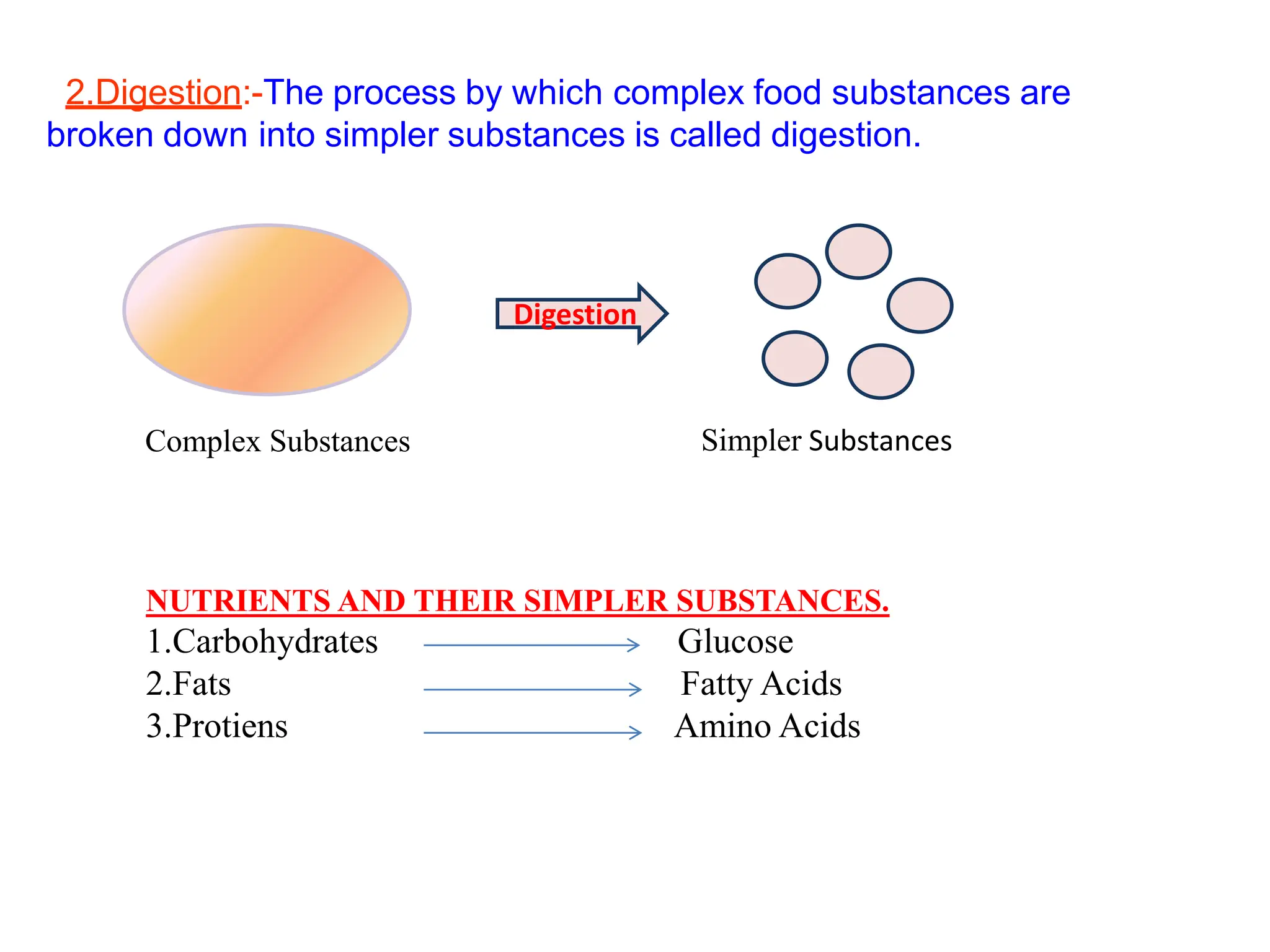 class7sciencechapter2-nutritioninanimals.pptx
