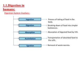 class7sciencechapter2-nutritioninanimals.pptx