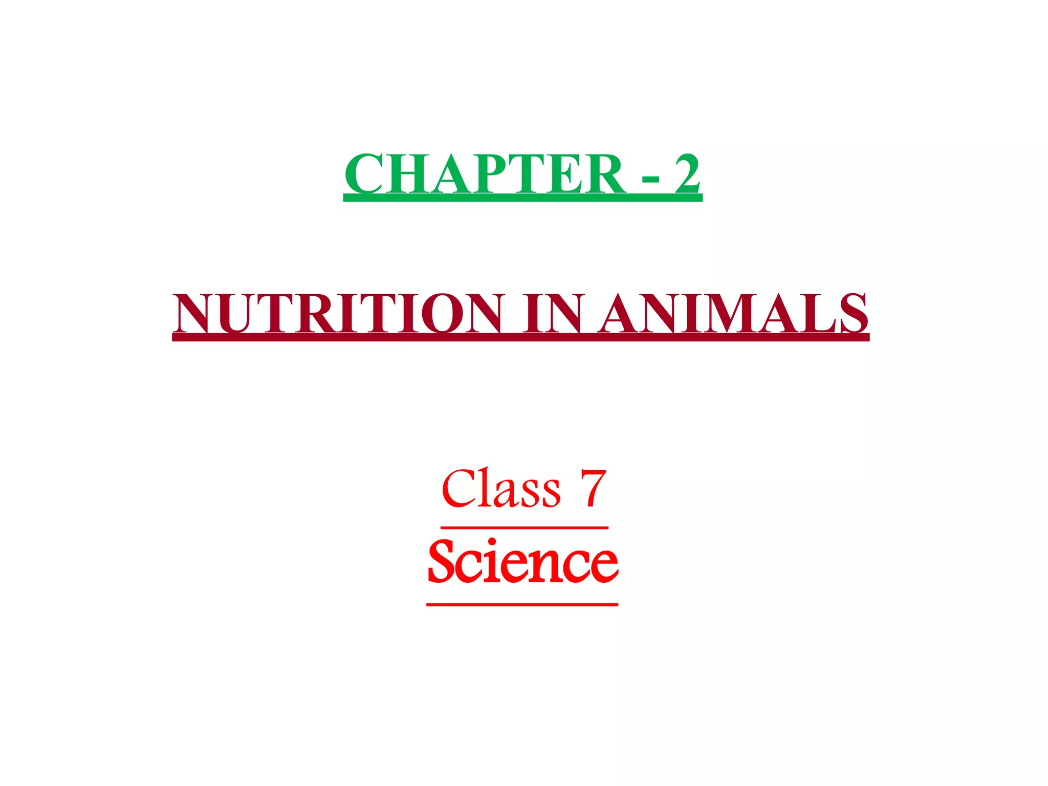 Nutrition in Animals, Class 7, Science Chapter-2 | PPTX
