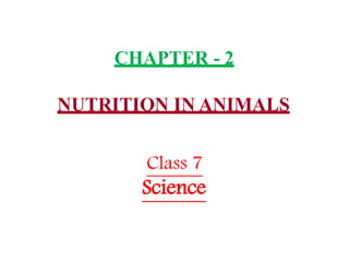 Nutrition in Animals, Class 7, Science Chapter-2 | PPTX