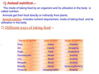 Nutrition in Animals, Class 7, Science Chapter-2 | PPTX