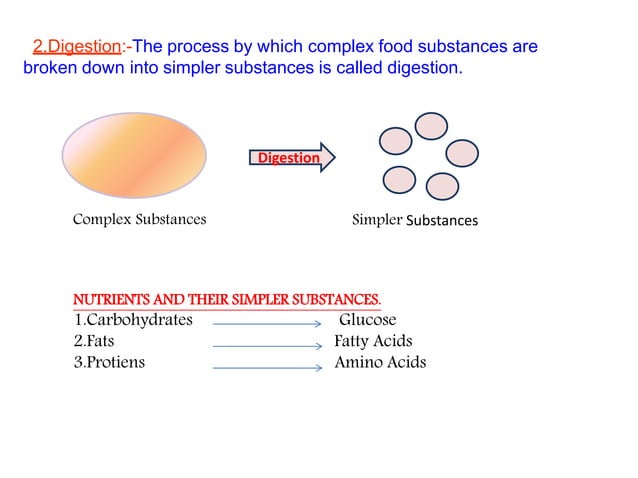 Nutrition in Animals, Class 7, Science Chapter-2 | PPTX | Dental Health ...