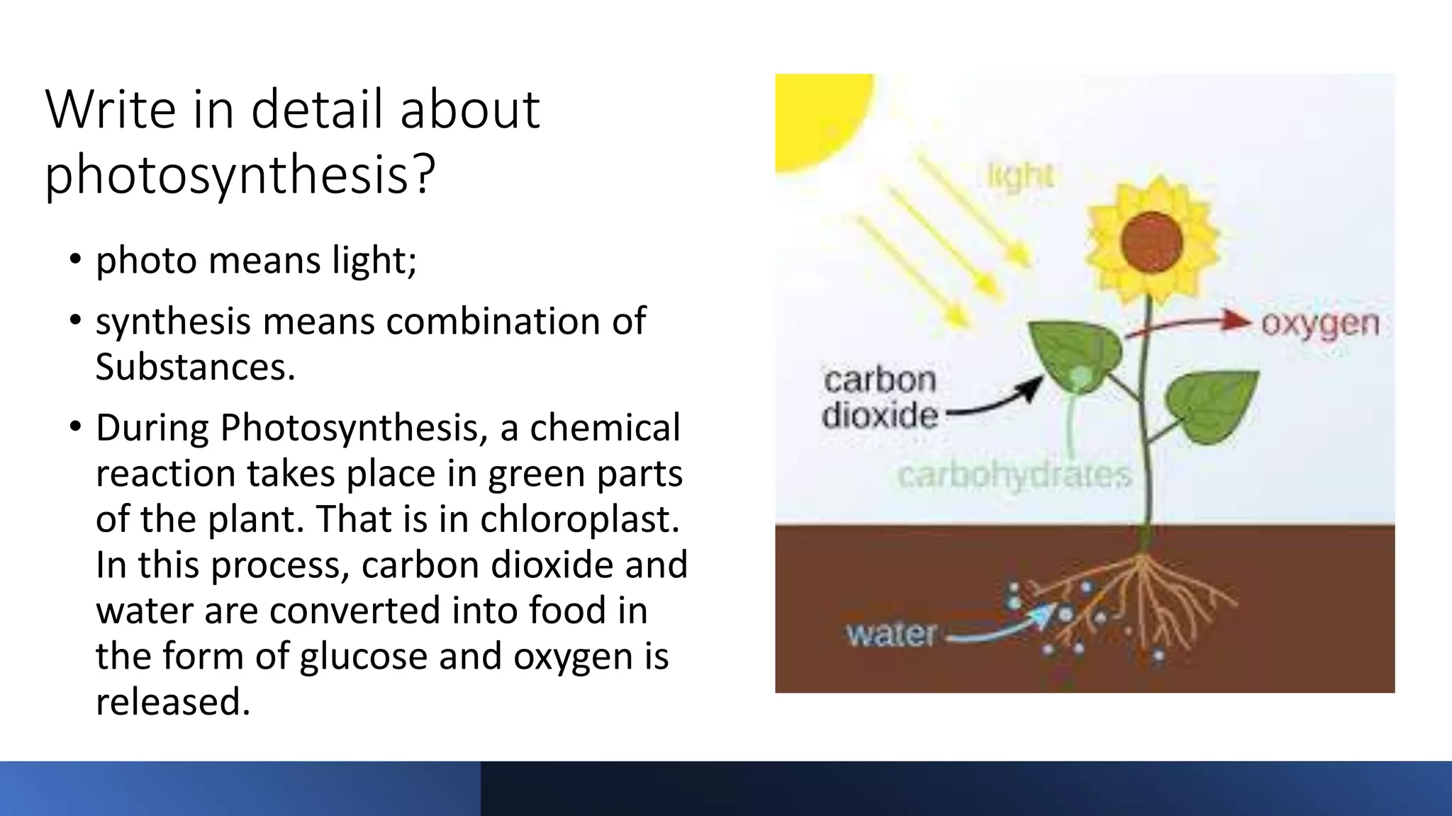 class 7 science nutrition in plants.pptx