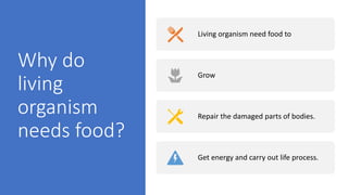 class 7 science nutrition in plants.pptx