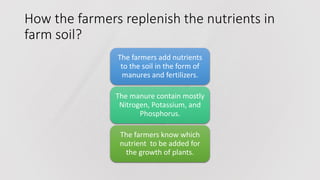 class 7 science nutrition in plants.pptx