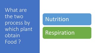 class 7 science nutrition in plants.pptx