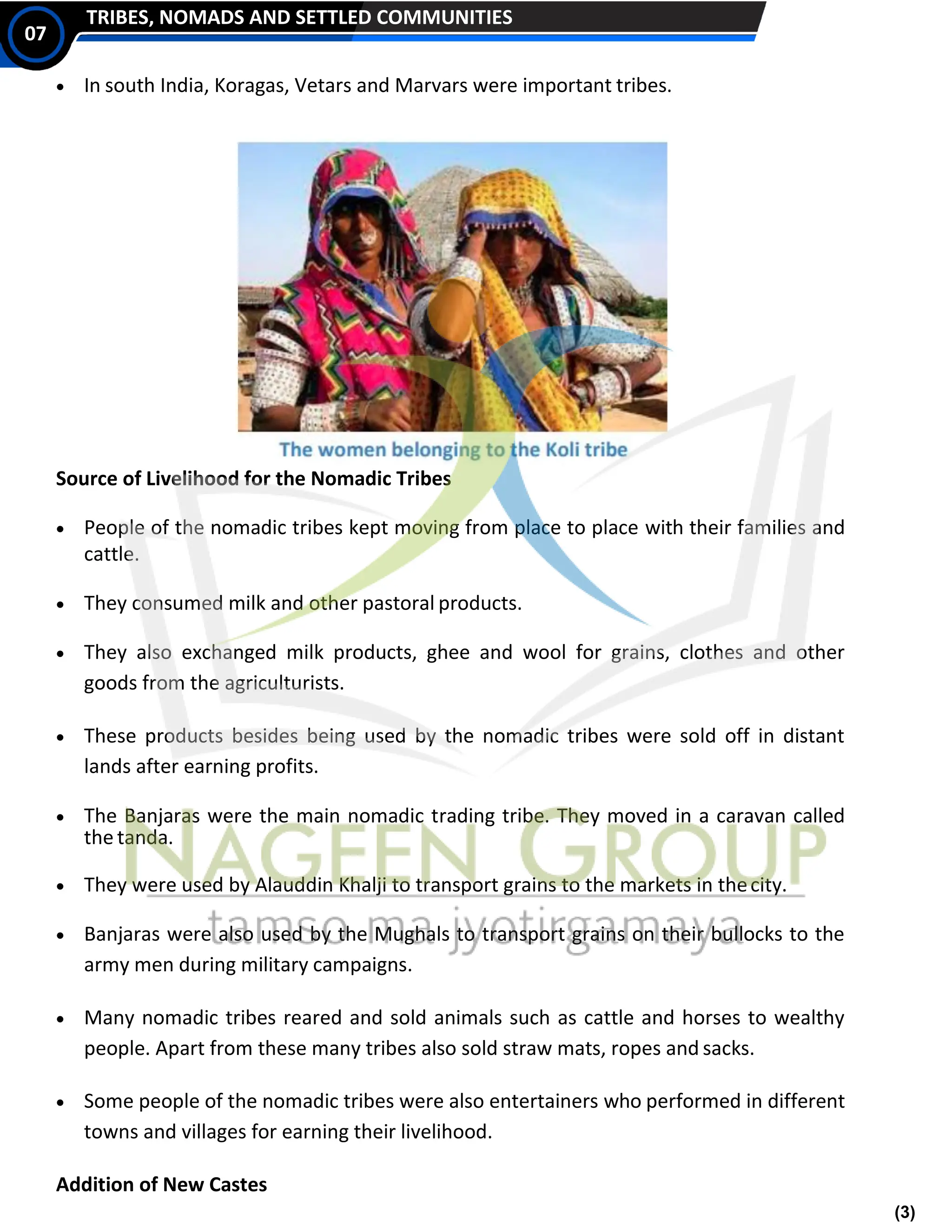 Class VII Social Science (History) Notes Chapter 5 Tribes Nomads and ...