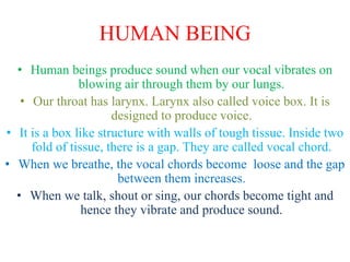 CLASS 7 SOUND | PPTX