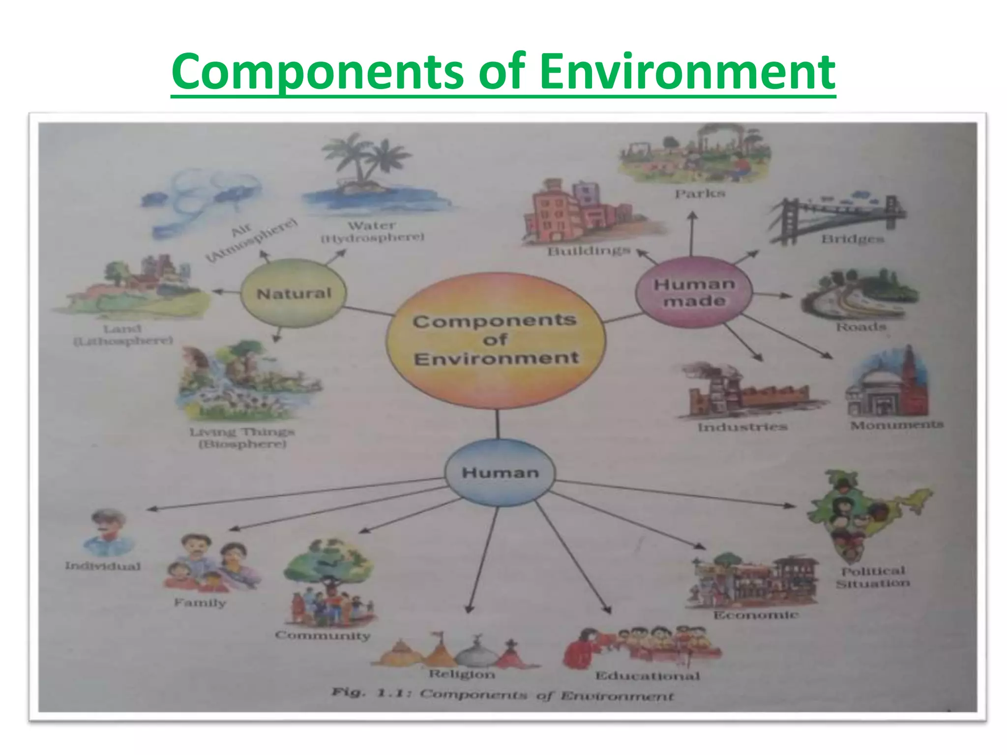 Our NAtural Environment | PPTX