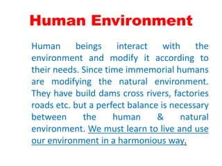 Our NAtural Environment | PPTX